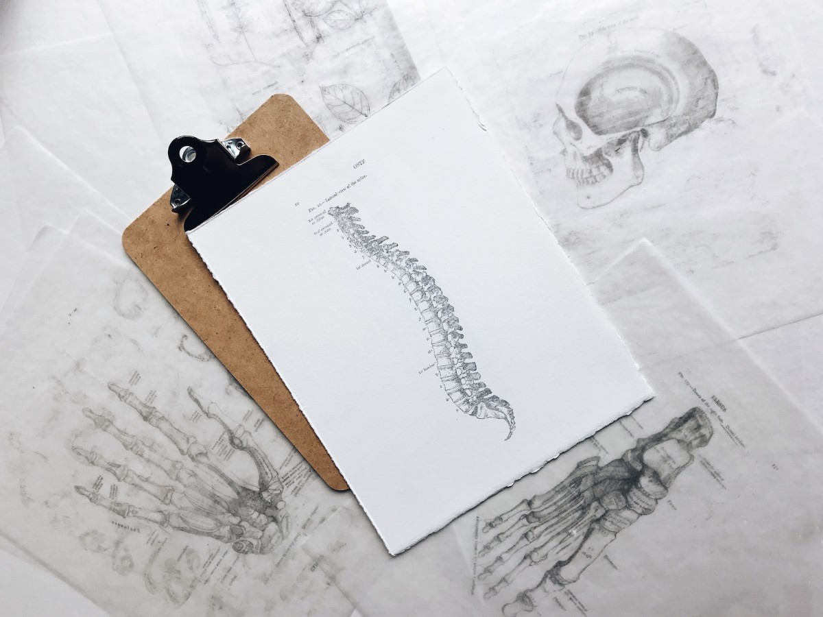 Lower Back Pain: Causes, Symptoms, Diagnosis, Treatment